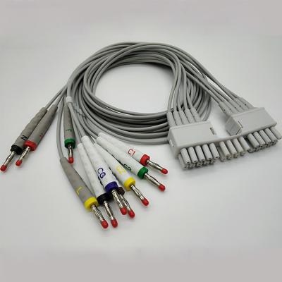 China Mortara Compatible Sports Recorder Holter ECG Cable 10 Lead Bananas for sale