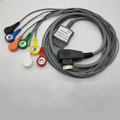 China 7 Leadwires Holter ECG Cable 19 Pin With Snap Type IEC Standard DMS 300 - 3A HDMI for sale