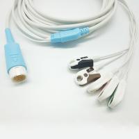 China Medical 12 Pin HP Disposible 5 Lead Ecg Cable for sale