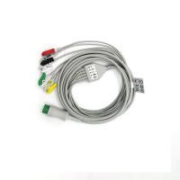 China 5 Lead 2.5m 12Pin ECG Cables And Leadwires For Biolight C2557P0 for sale