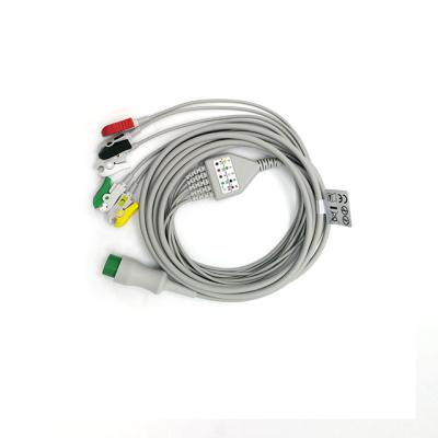 China 5 Lead 2.5m 12Pin ECG Cables And Leadwires For Biolight C2557P0 for sale
