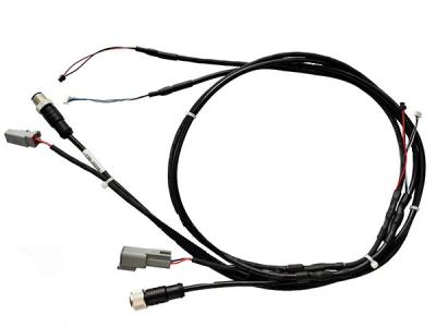 China UL2517 PVC UL1061 28AWG TPE-E Black 300V M12 Connector Cable Wire Harness With M12 Connector for sale