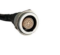 China 40 Core Aviation Plug UL1007 Multicore Cable Harness For Multi-Channel Signal Connection for sale