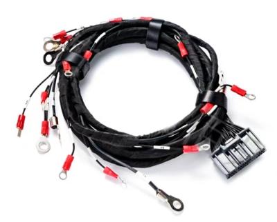 China ODM OEM Black Battery Wire Harness With Good Temperature Acquisition For Electric Vehicle for sale