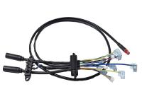 China 12V Insulated Anti-Interference Electric Wheelchair Motor Control Battery Wire Harness For Health Equipment for sale