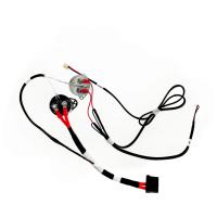 China Customized Automotive Wiring Harness for Speed Changing Box with High Temperature Grade for sale