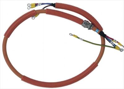 China High Pressure Resistant Engine Wiring Harness For Automotive Interference Prevention for sale