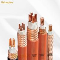 China Customized Mineral Fire Protection Cable BTLY 0.6 1KV 5*16 Aerial Insulated Radiation Proof Soft Cable for sale