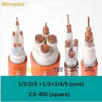 China Customized Mineral Fire Protection Cable BTLY 0.6 1KV 5*16 Aerial Insulated Radiation Proof Soft Cable for sale