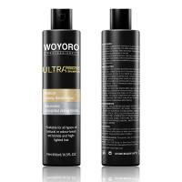 China Ultra Pigment Purple Shampoo 300ml Sulfate Free Neutralizes Yellow Brass Tones for Blonde Grey Hair for sale
