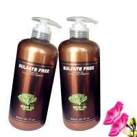 China SLS Free Argan Oil Shampoo 800ml Hydrating Shampoo for Dry Damaged Hair OEM for sale