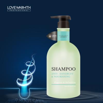 China Customized Frizz Dryness Dullness Hair Enhancer Shampoo 500ml Anti Damage Repair for sale