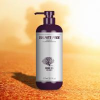 China Argan Oil Shampoo and Conditioner 750ml Lemon Fragrance Sulfate Free Private Label for sale