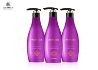 China Argan Oil Sulfate Free Color Safe Shampoo 500ml Custom Logo Natural Hair Care for sale