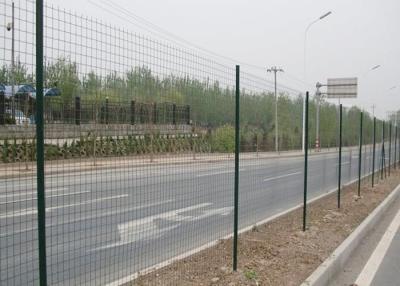 China 2.2mm 1.8m High Steel Welded Wire Rolled Fencing Metal Pvc Coated Rodent Proof for sale