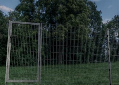 China 2.5m Length Welded Wire Mesh Fencing Garden Powder Coated Steel With Clip for sale