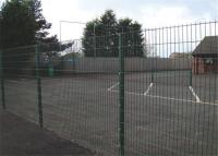 China 2.5m Length Welded Wire Mesh Fencing Garden Powder Coated Steel With Clip for sale