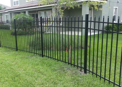 China Matting Black Powder Coated Steel Fence 6ft 7ft 8ft custom made for sale