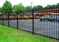 China Low Maintenance Pool Steel Wrought Iron Fence With Flattened Spear for sale