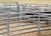 China 1.8x2.1m 6 Oval Rails Livestock Corral Cattle Yard Hot Dip Galvanized for sale
