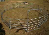 China Livestock Corral Hot Dip Galvanized Cattle Yard Panel 1.8x2.1m Oval Rails for sale