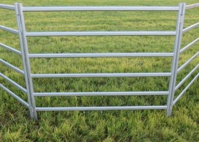 China Livestock Corral Hot Dip Galvanized Cattle Yard Panel 1.8x2.1m Oval Rails for sale