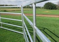 China Steel Square Tube Heavy Duty Cattle Panel American Style for sale
