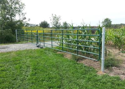China Heavy Duty Powder Coated 10ft Galvanised Farm Gate Rustproof 1.3m Height for sale