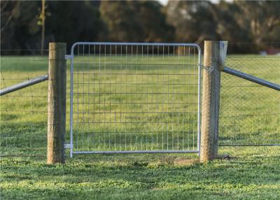 China Fully Welding 16 Foot Livestock Metal Gate With Lock 42Inch 70.5inch Height for sale
