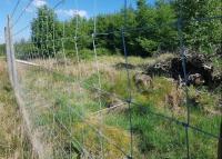 China L23/200/15 Style 2m X 50m Roll Deer Fence Wire Mesh Netting Sustainable for sale