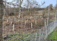 China HT13/190/15 High Tensile 190cm X 100m Galvanized Steel Deer Fence Twill Weave for sale