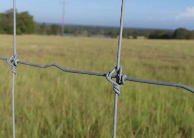 China 2.0mm Farm Filed Fixed Knot High Tensile Fence Sustainable Easily Assembled for sale