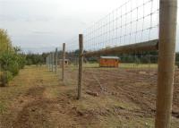 China CE  0.5-2.1m High Galvanized Woven Wire Fence Hinge Joint Field Fence For Cattle for sale