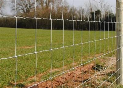 China Hot Dipped Galvanized Fixed Knot Field Fence Hinge Joint Fencing 150m rustproof for sale