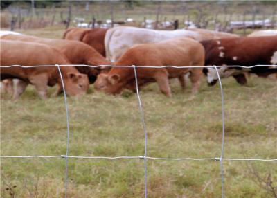 China Galvanized High Tensile Livestock Wire Cattle Fencing 50m 100m Length for sale