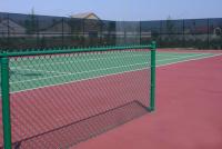 China 3mm Wire 50X50mm Diamond Mesh Galvanized Steel Temporary Chain Link Fence/Cyclone Fence for sale