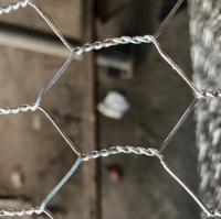 China 50m Roll Galvanized Steel Wire Chicken Mesh Netting Hexagonal Mesh Wire Netting for sale