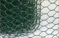 China PVC Coated Steel Wire Animal Chicken Mesh Netting Hexagonal Mesh Wire Netting for sale