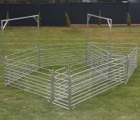 China 2.9mx1.25m Heavy Duty Steel Economy Pastoral Portable Sheep Yard Panels Goat Panel for sale