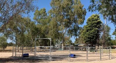 China Factory Price 19M Horse Round Yard Livestock Panel Horse Stable Panels Round Pens for sale