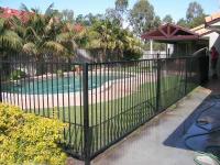 China 6ft x 8ft Wrought Iron Garden Fence Ornamental  Iron Fence Steel Fence for sale