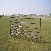 China Hot Selling Horse Round Yard Horse Corral Panel Livestock Panel Pen for Ranch for sale
