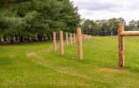 China In Stock Livestock Knot Field Cattle Fence Pig Fence Proof Fencing for sale for sale