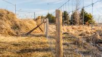 China In Stock Livestock Knot Field Cattle Fence Pig Fence Proof Fencing for sale for sale