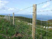 China In Stock Livestock Knot Field Cattle Fence Pig Fence Proof Fencing for sale for sale
