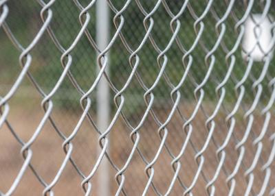 China 6ftx50ft Steel Chain Link Fencing for sale