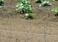 China High Tensile Galvanized iron Wire Cattle Fencing 1.1m height for sale