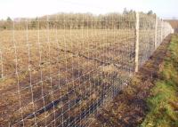 China High Tensile Galvanized iron Wire Cattle Fencing 1.1m height for sale
