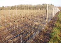 China T Post 6ft Cattle Fence , 100m Long Farm Mesh Fencing for sale