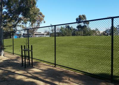 China ISO 1200mm Height Steel Chain Link Fencing With PVC Coated for sale